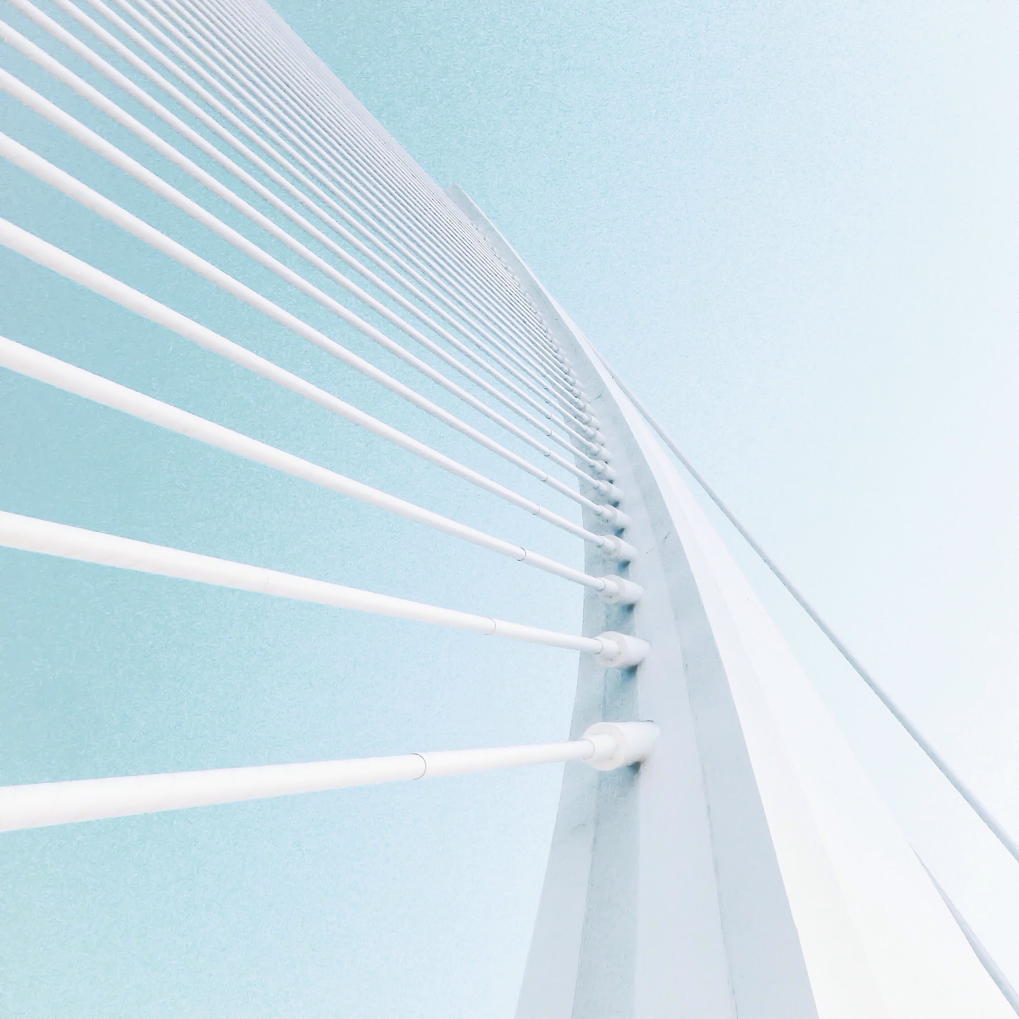 About Us – WIT Architecture